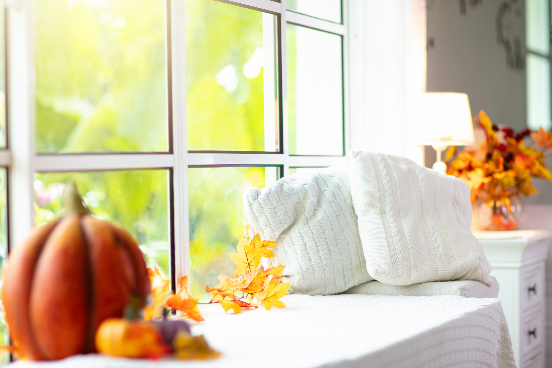 Get your home ready for the fall season! - Renozee
